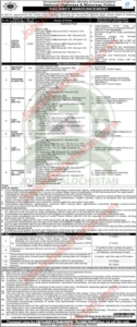 NHMP Jobs 2024: Apply for National Highways Motorway Police - JOBS IN BALOCHISTAN